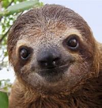 Buzzen Chat - Free Chat Network